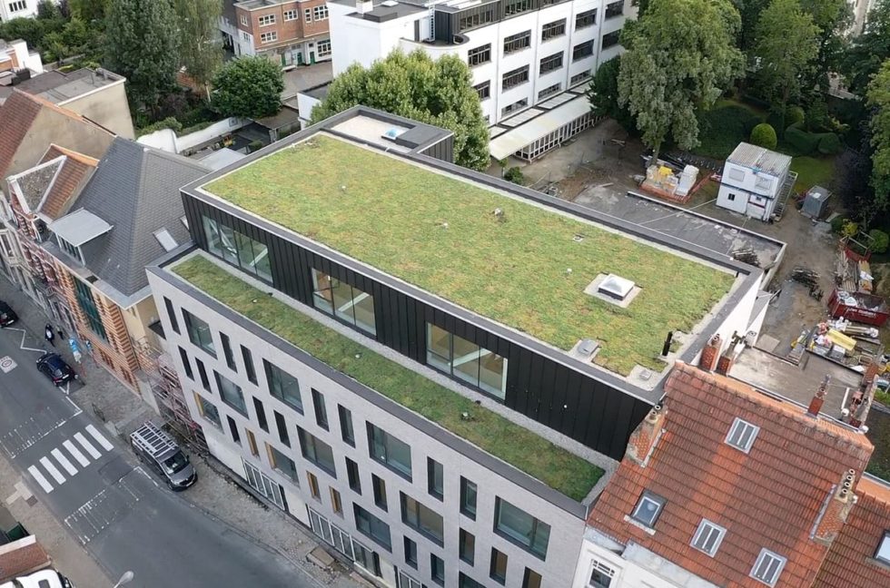 Toiture verte extensive, semi-intensive - Toit plat végétalisé